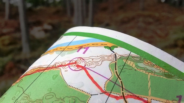 Why do we go Orienteering? – Get out there